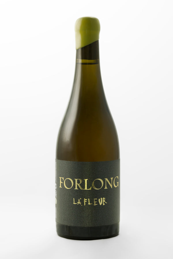 Bodegas Forlong | The Spanish Acquisition